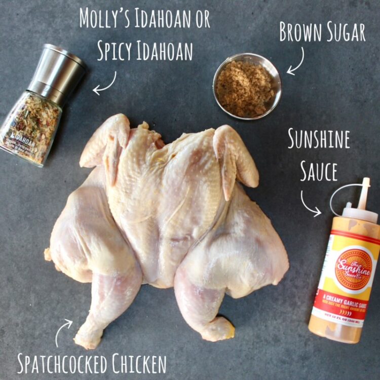 Sunshine Chicken – Molly’s Garlic Goddess Seasonings